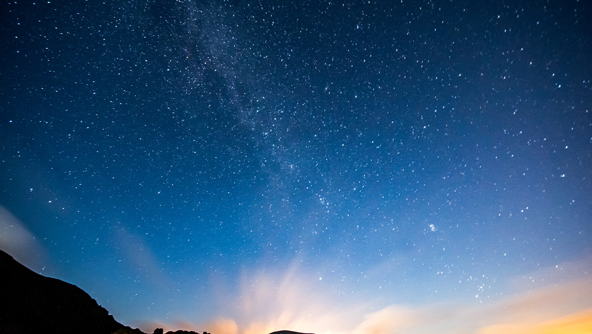 Omni Signature Experience - Starry Skies Holiday Experience | Omni ...