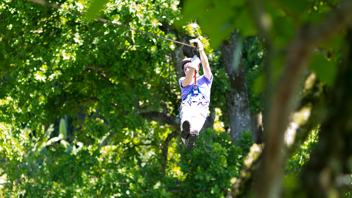 Zip Lining Tours in Virginia | The Omni Homestead Resort & Spa