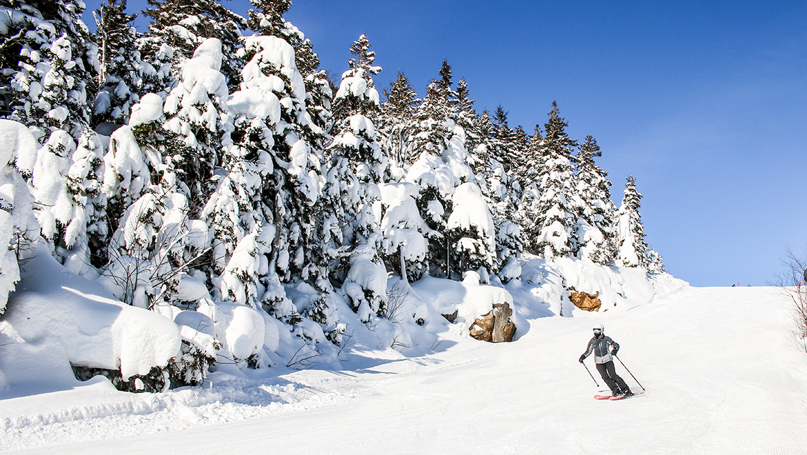 snow king promo code