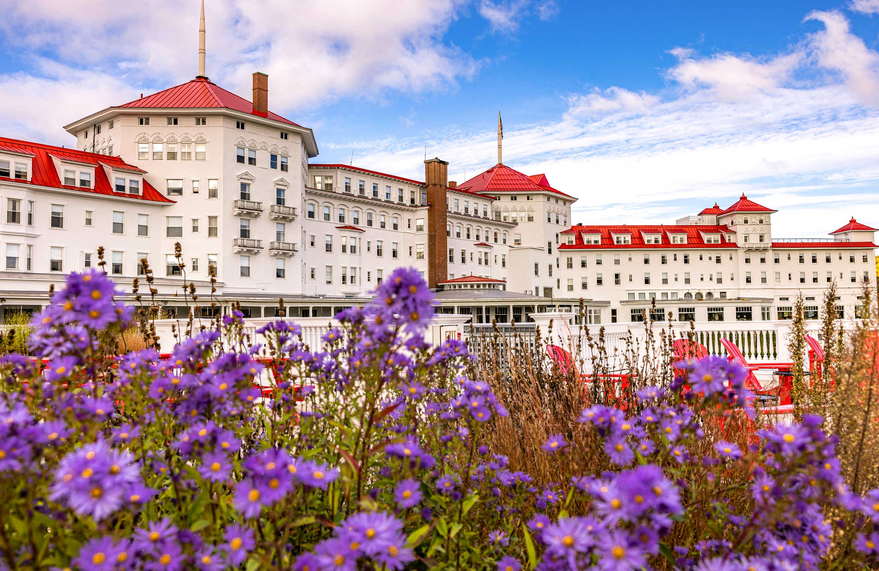 Omni Hotels & Resorts | Book Your Stay