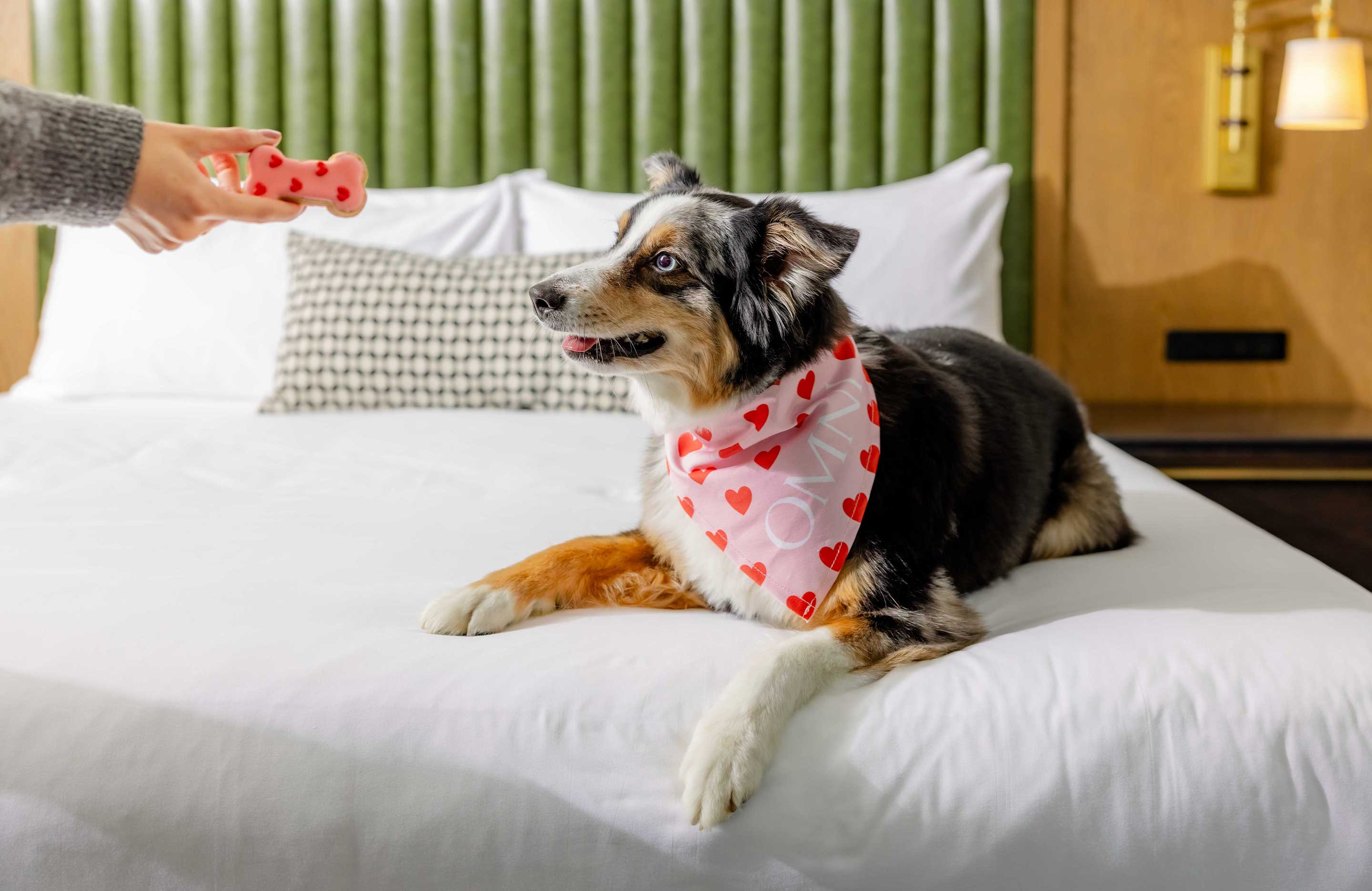 Puppy Love | Omni Shoreham Hotel