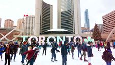 Toronto Bars | Consort Bar | The Omni King Edward Hotel
